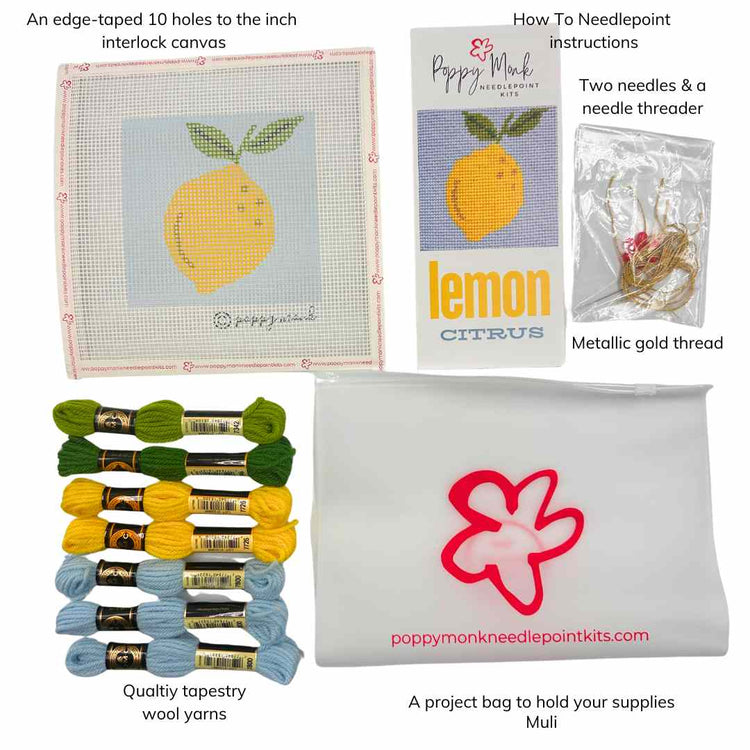 Beginner Needlepoint for Adults & Kids | Contemporary Starter Kits ...