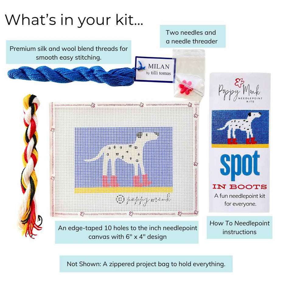 Beginner Needlepoint for Adults & Kids | Contemporary Starter Kits ...